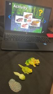Mystery Science Curriculum Review – Peskleway Learning