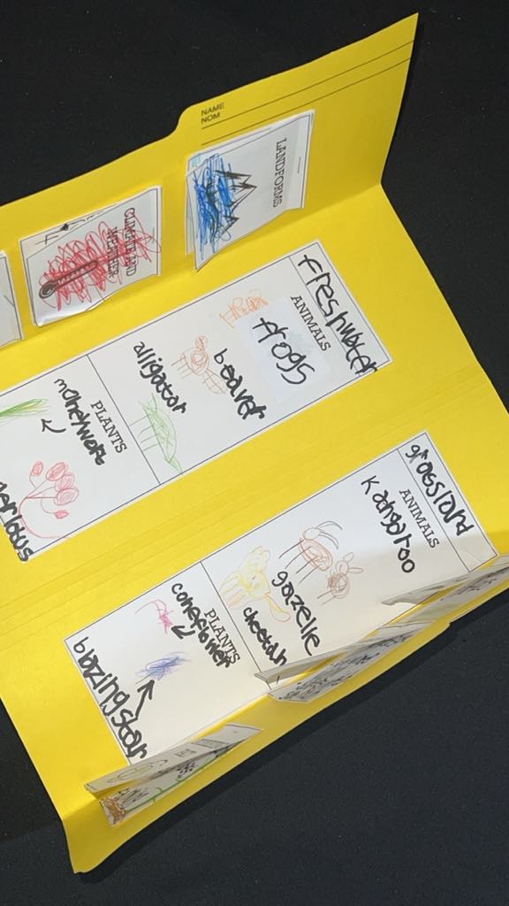 Lapbooks 101: A Creative, Interactive Way to Learn - Peskleway Learning